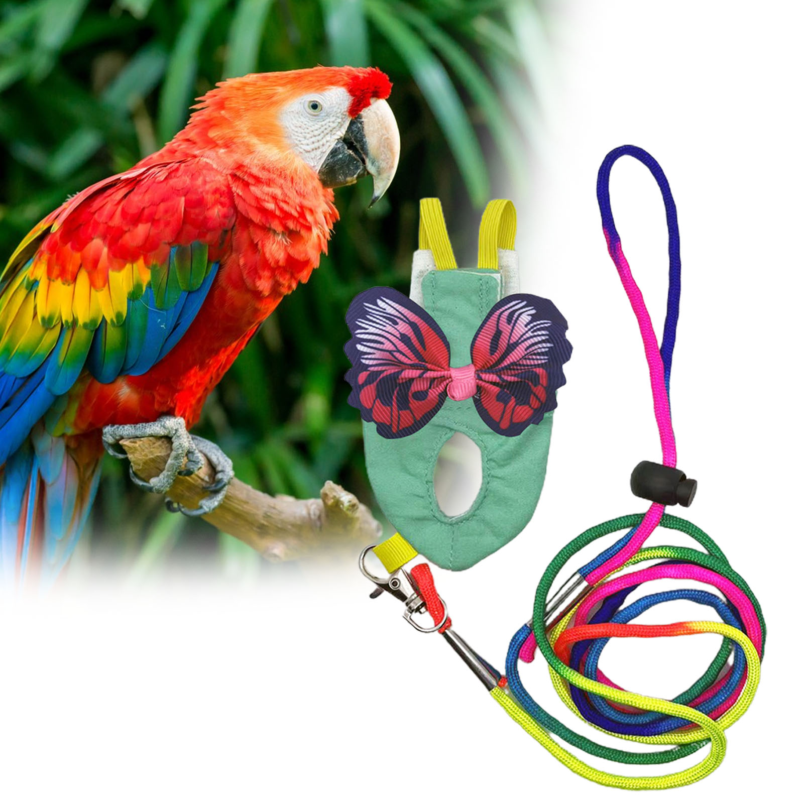 Bluethy Parrot Harness Leash Butterflies Wing Decor Elastic Shoulder ...